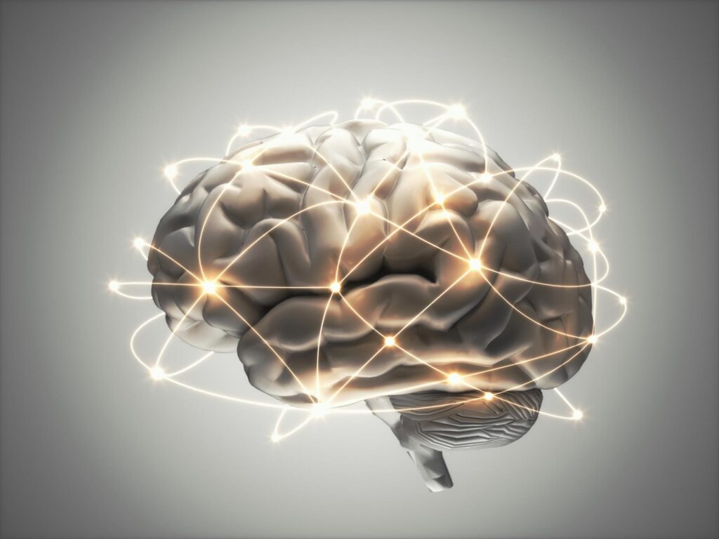 Para Ilmuwan Mengembangkan “Brain Phantom” Cetak 3D Pertama di Dunia ...