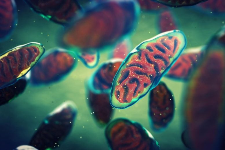 Ilmuwan memecahkan misteri biologi sel yang telah berusia puluhan tahun ...